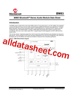 BM Datasheet PDF Microchip Technology