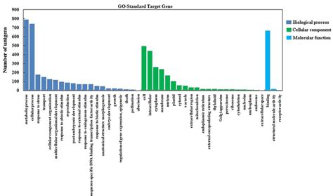 Go Classification Of Mirna Targets In ‘ventura Mirna Target Genes Download Scientific Diagram