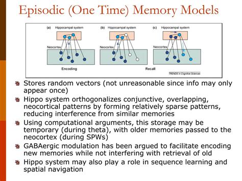 Ppt Insights Into Hippocampo Entorhinal System Functionality Powerpoint Presentation Id6186244