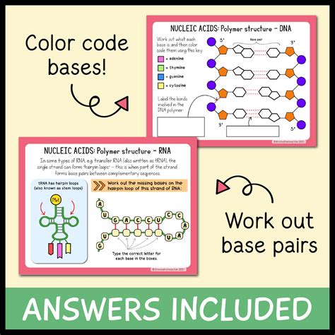Nucleic Acids Google Slides Emmatheteachie