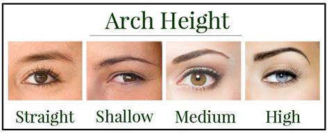 Eyebrow Shapes And Styles By Face Shape Headcovers