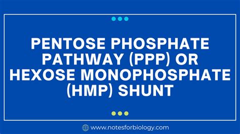 Glycolysis And Pentose Phosphate Pathway Best Biology Note