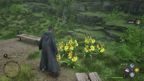 《霍格沃兹》ps5体验怎么样？真的太香了，可以无脑入！！！ 霍格沃茨之遗 游民星空