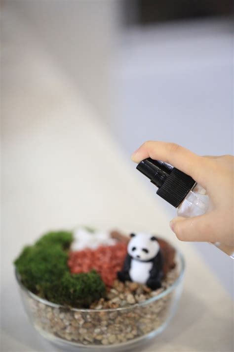 테라리움 이끼 만들기 키트 나만의 작은 숲 네이버 블로그
