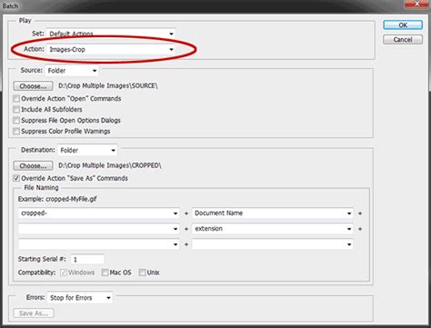 PhotoEffect How To Crop Multiple Images In Photoshop