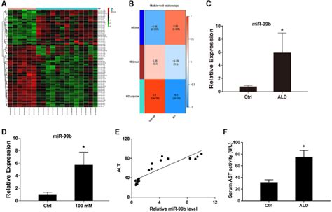 The Upregulation Of Mir 99b Is Identified By Microarray Analysis In Ald