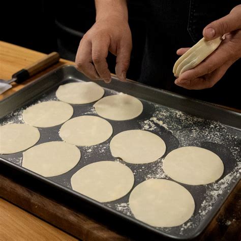 Dumplings Coreanos 寧 Munchies Lab