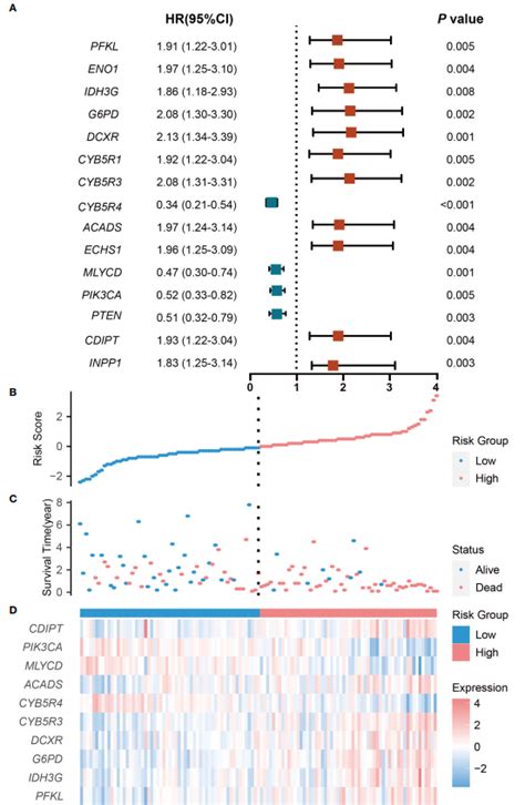 “代谢重编程”可不止“warburg Effect”效应，“糖代谢”相关基因也能做肿瘤诊断和预测，8 纯生信文章教会您复现思路 知乎