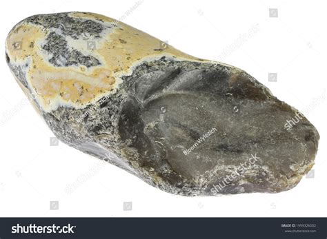 Flint Nodules Images Stock Photos Vectors Shutterstock