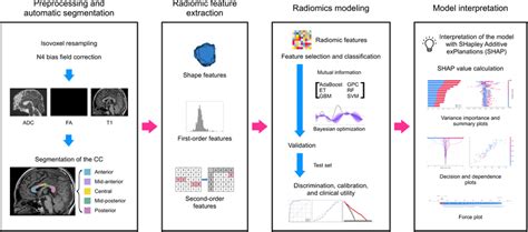 Workflow Of Image Preprocessing Radiomics Feature Extraction And Download Scientific Diagram