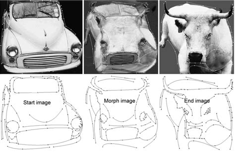 3 Example Of The Morphing Technique The Morphing Sequence Is Produced Download Scientific