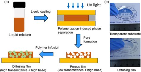 A Schematic Diagram Of The Fabrication Process Of Composite Optical Download Scientific