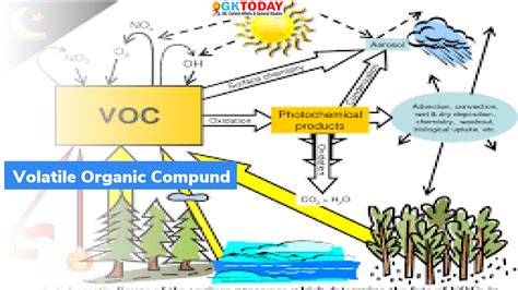 What Are ‘volatile Organic Compounds Gktoday