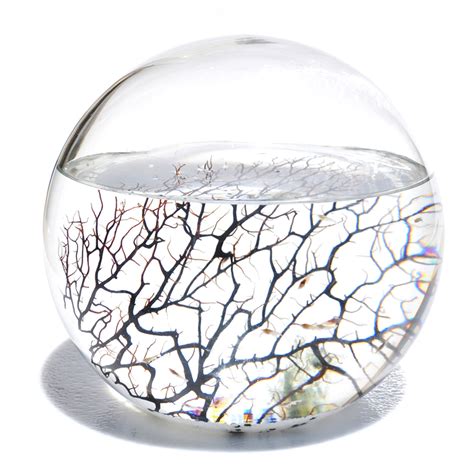 Extra Large Sphere Ecosphere Touch Of Modern