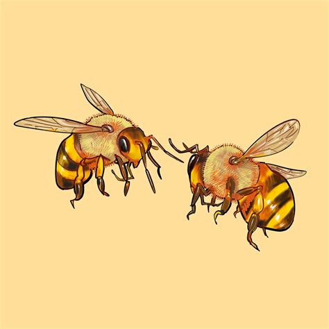 Hand Drawn Bees Free Stock Illustration 400742