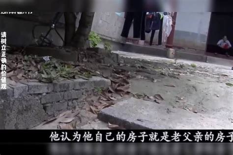 老父亲三婚隐藏的秘密儿子霸占百万拆迁款和73岁父亲大打出手