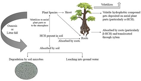 Migration And Transportation Of Residues Of Hexachlorocyclohexane Hch Download Scientific