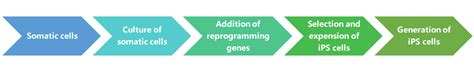 Ipsc Gene Editing Technology Services