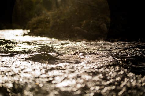 Tom Rayner Photography Scientific Imagery