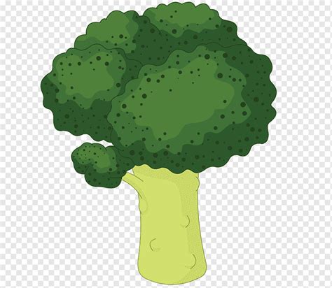 브로콜리 만화 자유형 콜리 플라워 수채화 그림 만화 캐릭터 음식 Png Pngwing