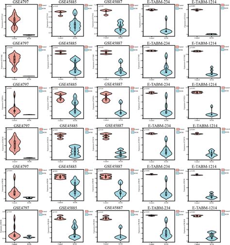 Validation Of Hub Genes In Microarray Datasets The Expression Of Hub
