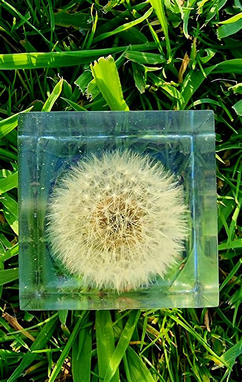 Deep Pour Table Resin Kit Mouldd