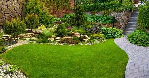 Starting A Successful Garden From Scratch My Decorative