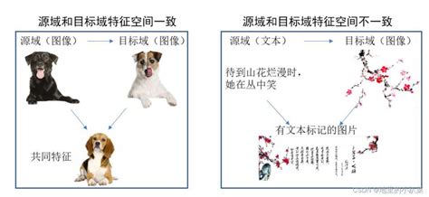 深度学习之 迁移学习 Csdn博客