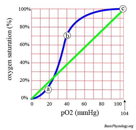 C Oxygen Transport BasicPhysiology Org