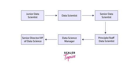 The Data Scientist Career Path A Complete Guide Scaler Topics
