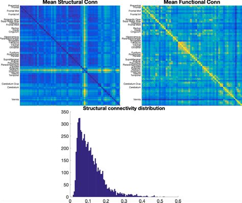 Average Structural Left And Functional Right Connectivity Matrices Download Scientific