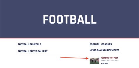 Single Post Archive And Post Categories R Elementor