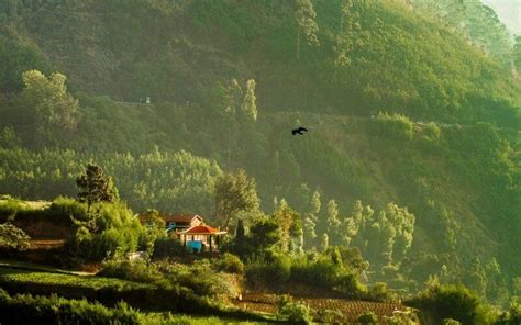 Best Ooty Honeymoon Packages Starting At Inr6500