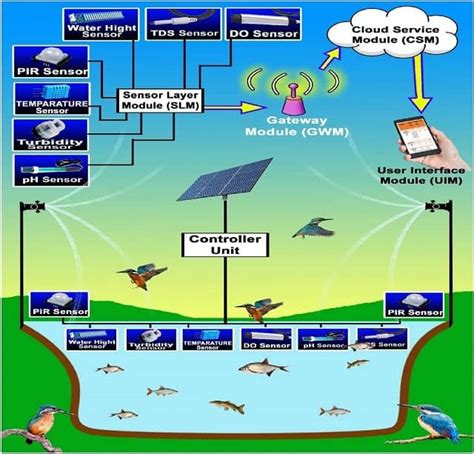 Iot For Monitoring Water Quality And Bird Control In Aquaculture Aquahoy
