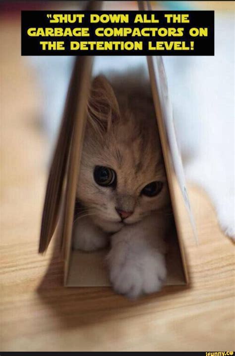 Compactors Memes Best Collection Of Funny Compactors Pictures On Ifunny