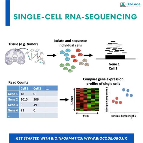 Biocode On Linkedin Bioinformatics Computationalbiology Datascience