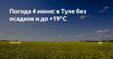 Погода 4 июня в Туле без осадков и до 19°С Дзен