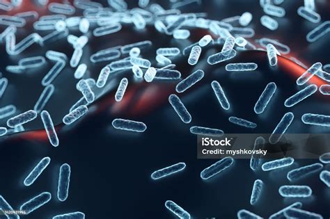 장내 세균 그람 음성 막대 모양의 박테리아 장내 미생물의 일부 및 다른 감염의 원인 물질 3d 렌더링 대장균 Klebsiella Enterobacter 및 기타 3차원