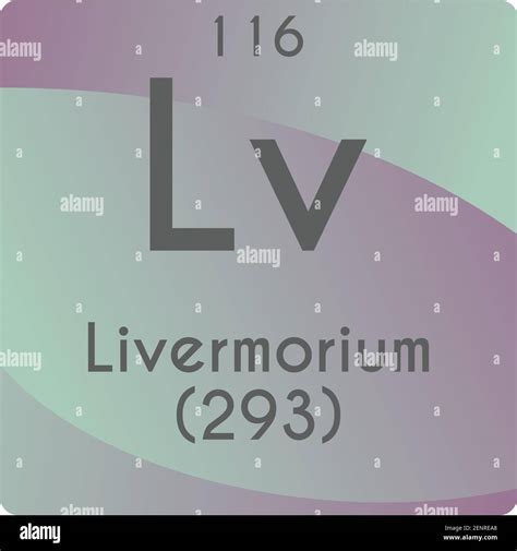 Lv Livermorium Chemical Element Vector Illustration Diagram With Atomic Number And Mass Simple