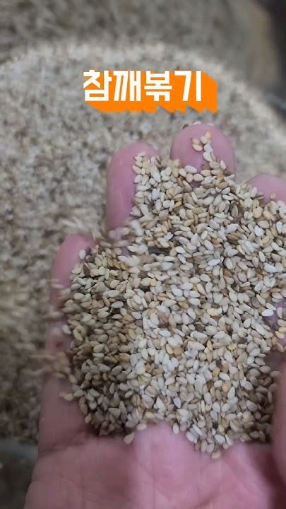 참깨 볶는 방법 볶은참깨 참깨볶기 Youtube