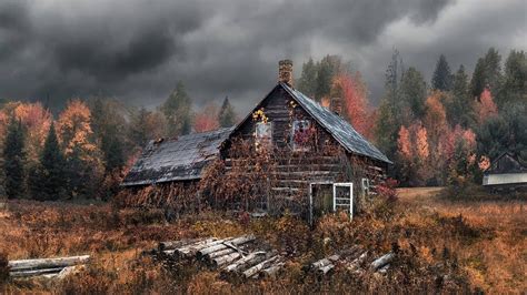 Wood House Wallpaper In Forest