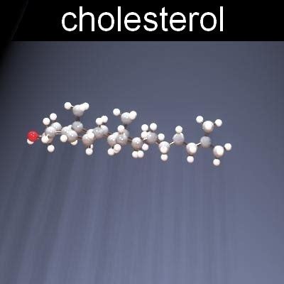 D Model Of Molecule Cholesterol