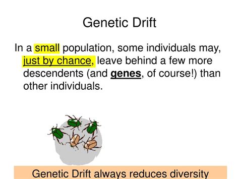 Ppt Microevolution Powerpoint Presentation Free Download Id 371162