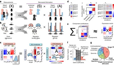 Genome Design And Analytics Tools Team