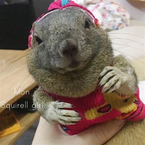 Mon Squirrel Girl