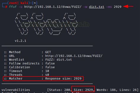 Comprehensive Guide On Ffuf