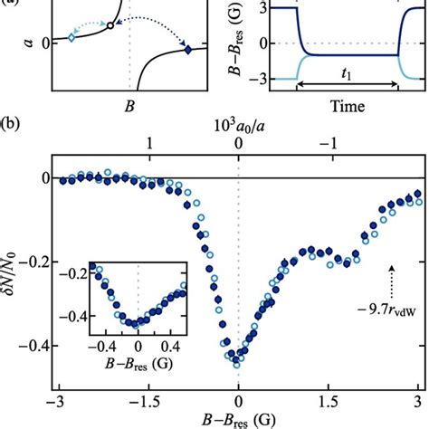 Benchmarking Quench Based Loss Spectroscopy A Interaction Landscape