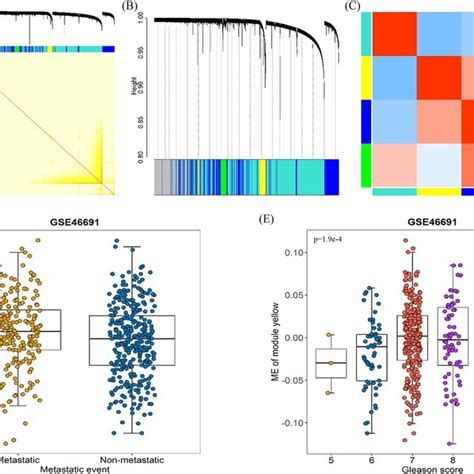 wgcna of lncrnas for prad a topological overlap matrix plot showing