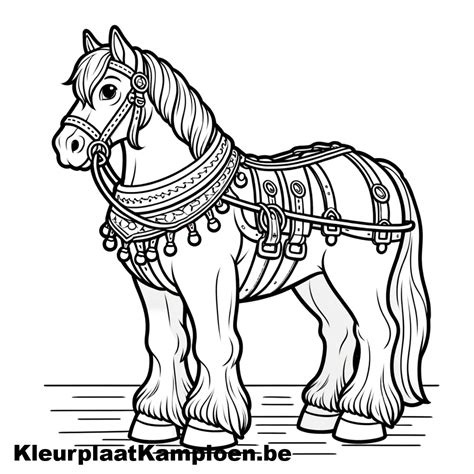 Kleurplaat Sinterklaas Peuters Amerigo Feesttuig Kleurplaatkampioen Be