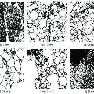A Selection Of Aluminium Foam Specimens Applied In The Compression Download Scientific Diagram
